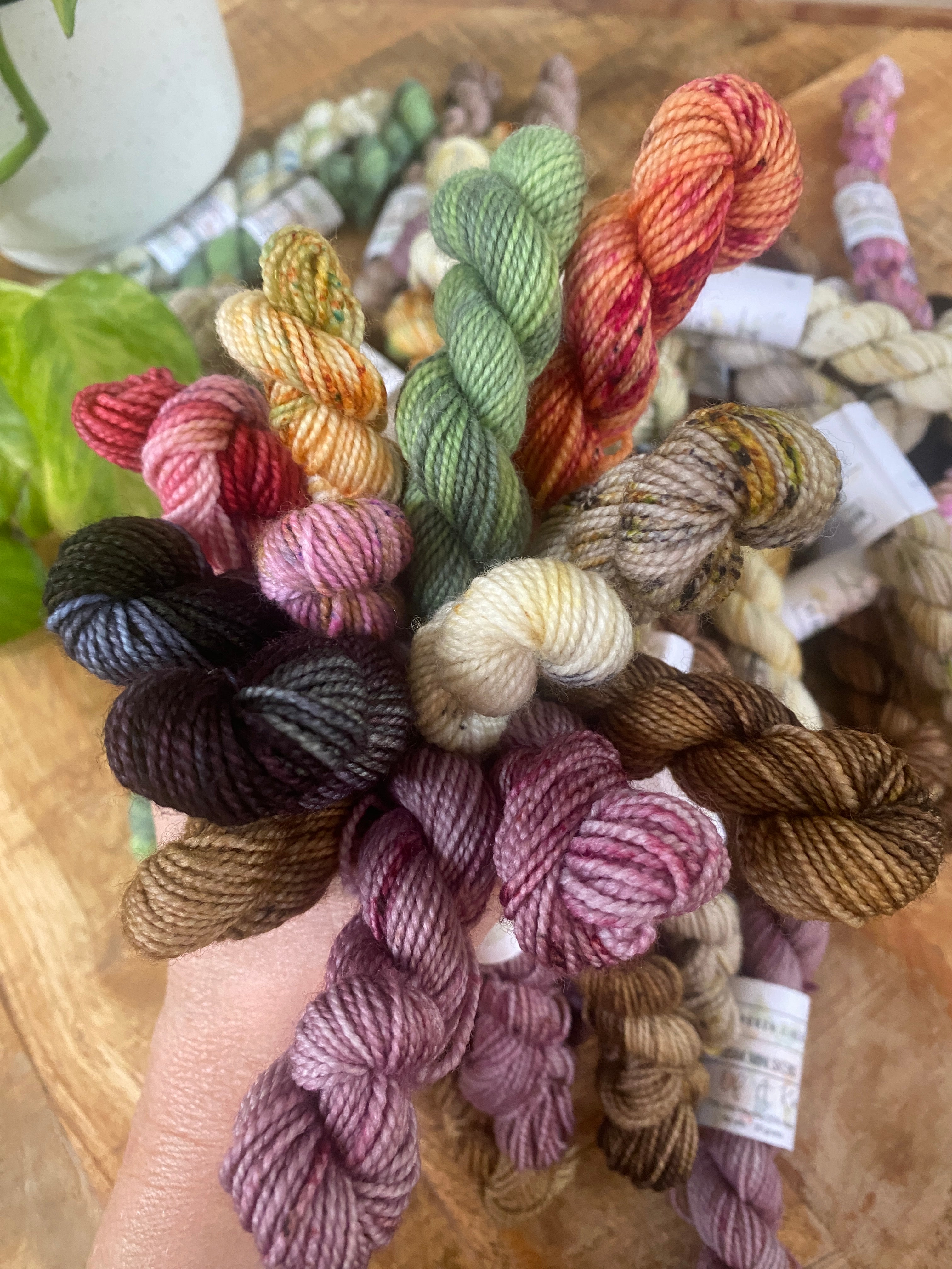 10 Gram Mini Skein Mystery Bundle – Back Porch Fiber Co